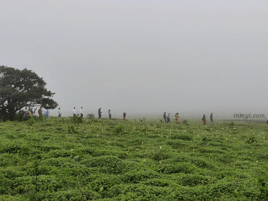 10 Enchanting Things to do in Satara | Satara tourist places | In my eye